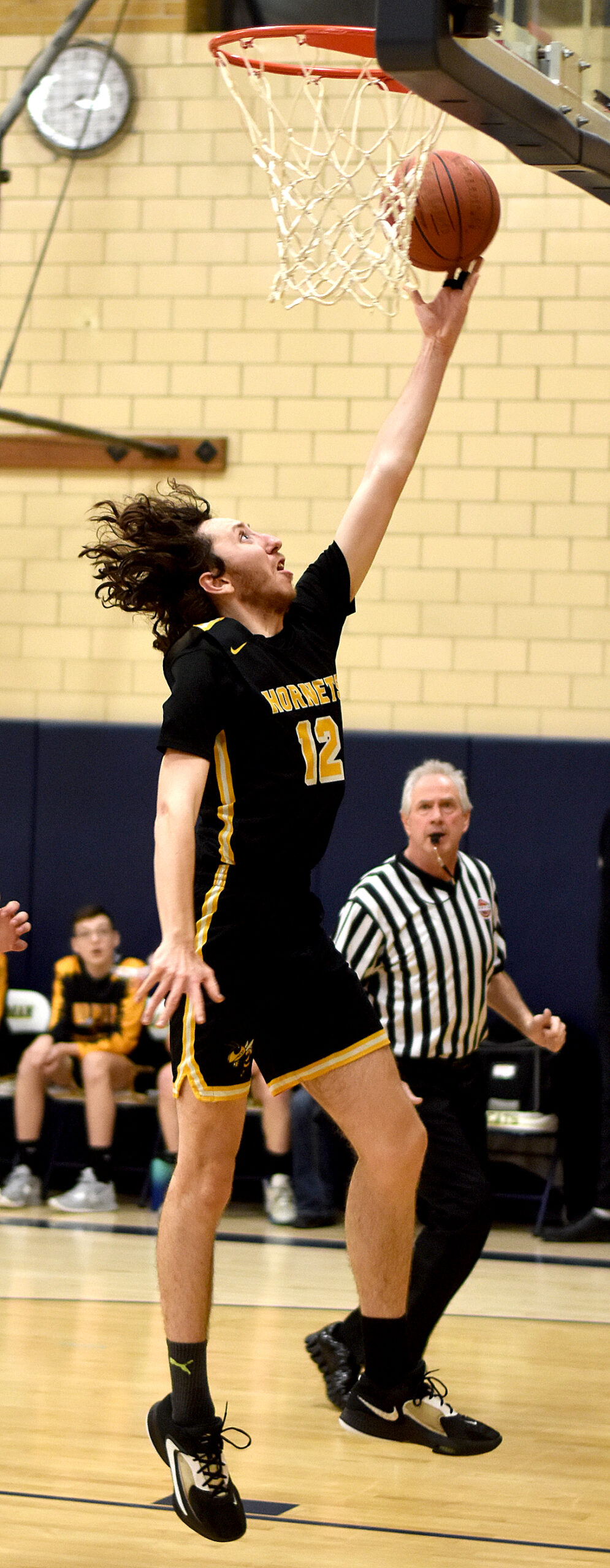 Hornets knocked out by Sherman | News, Sports, Jobs - Observer Today